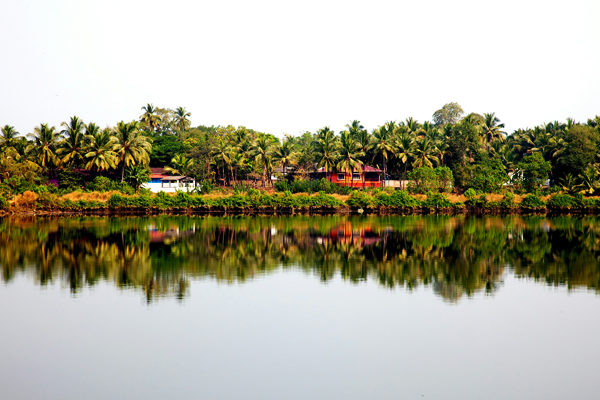 Best Goa Package for Family Out There