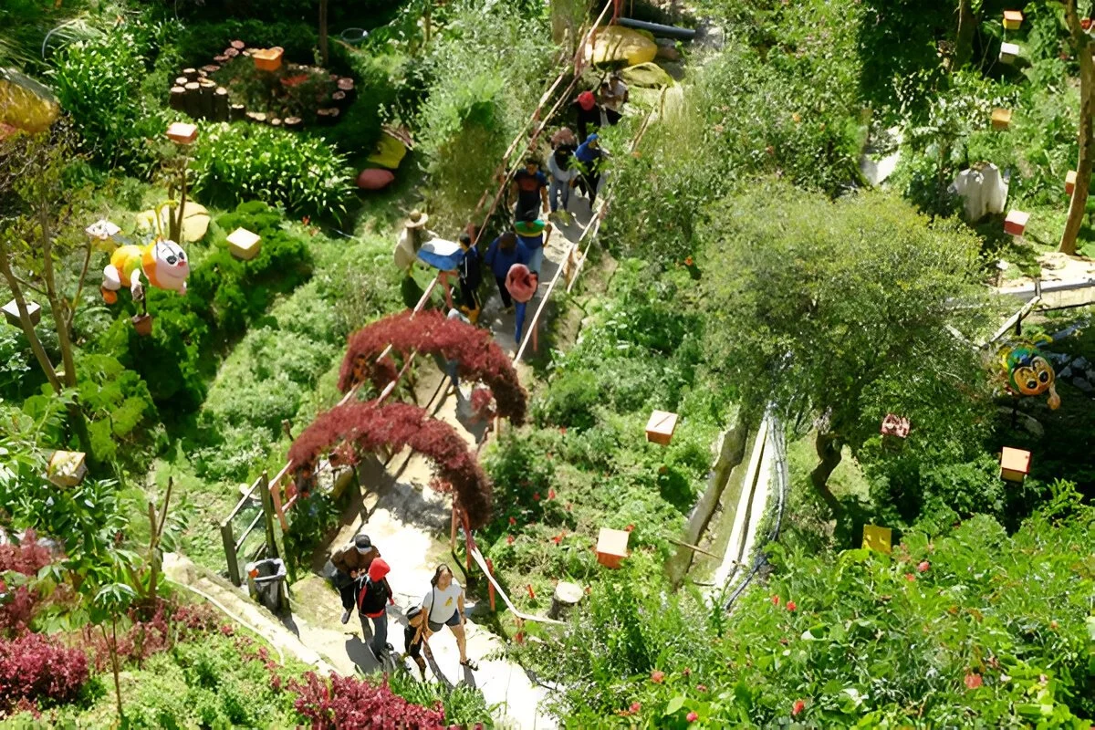 Honey Bee Farm, Malaysia: Best Time to Visit & Travel Tips