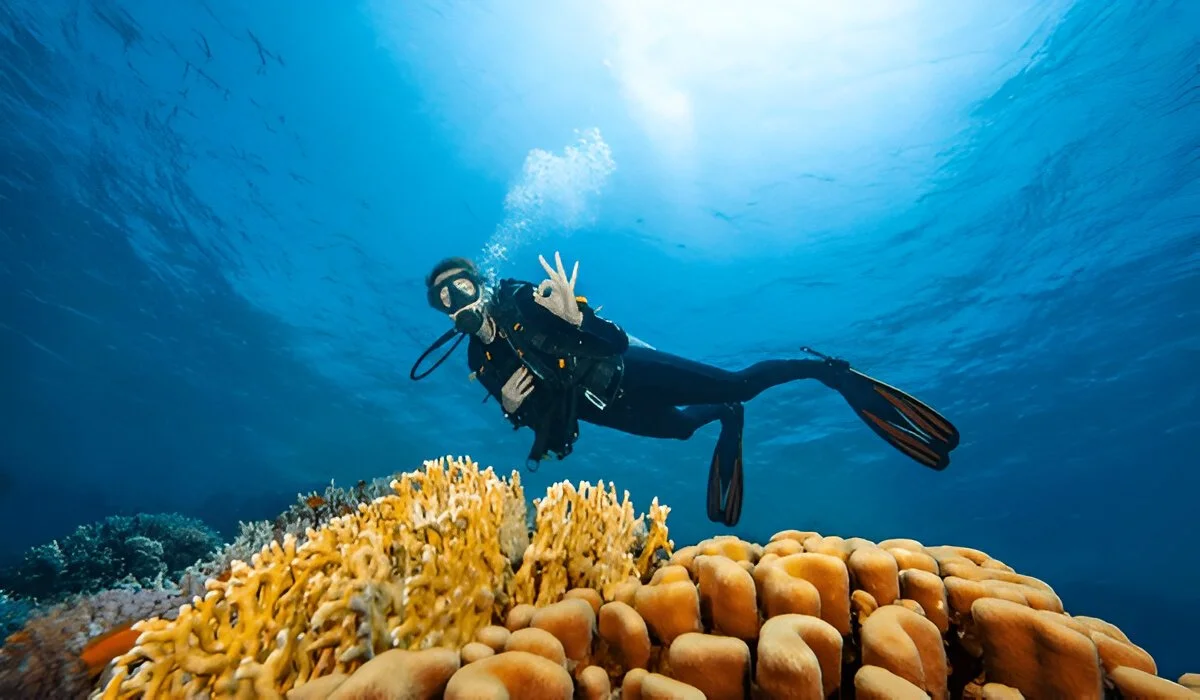 Scuba Diving in Goa: Best Time to do & Travel Tips