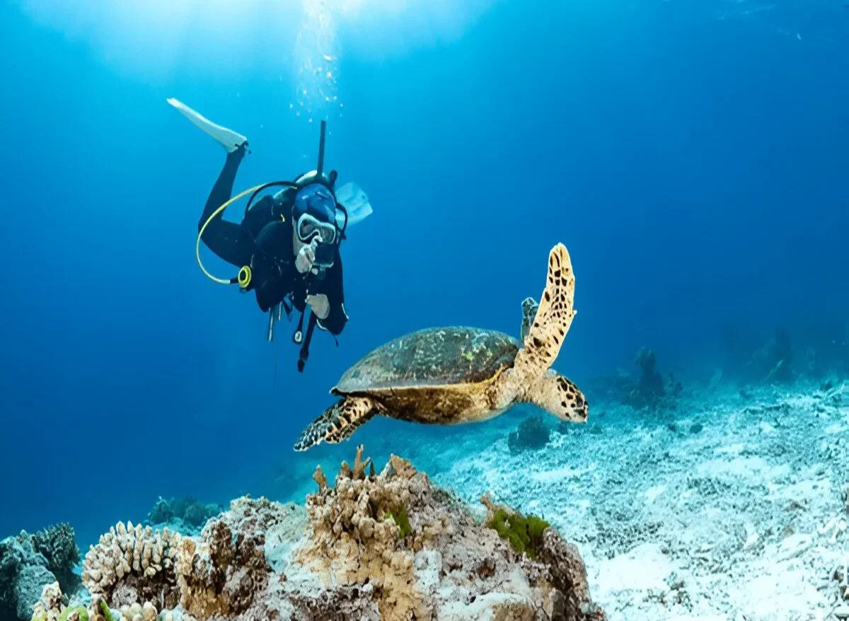 Scuba Diving in Maldives: Best Time to do & Travel Tips