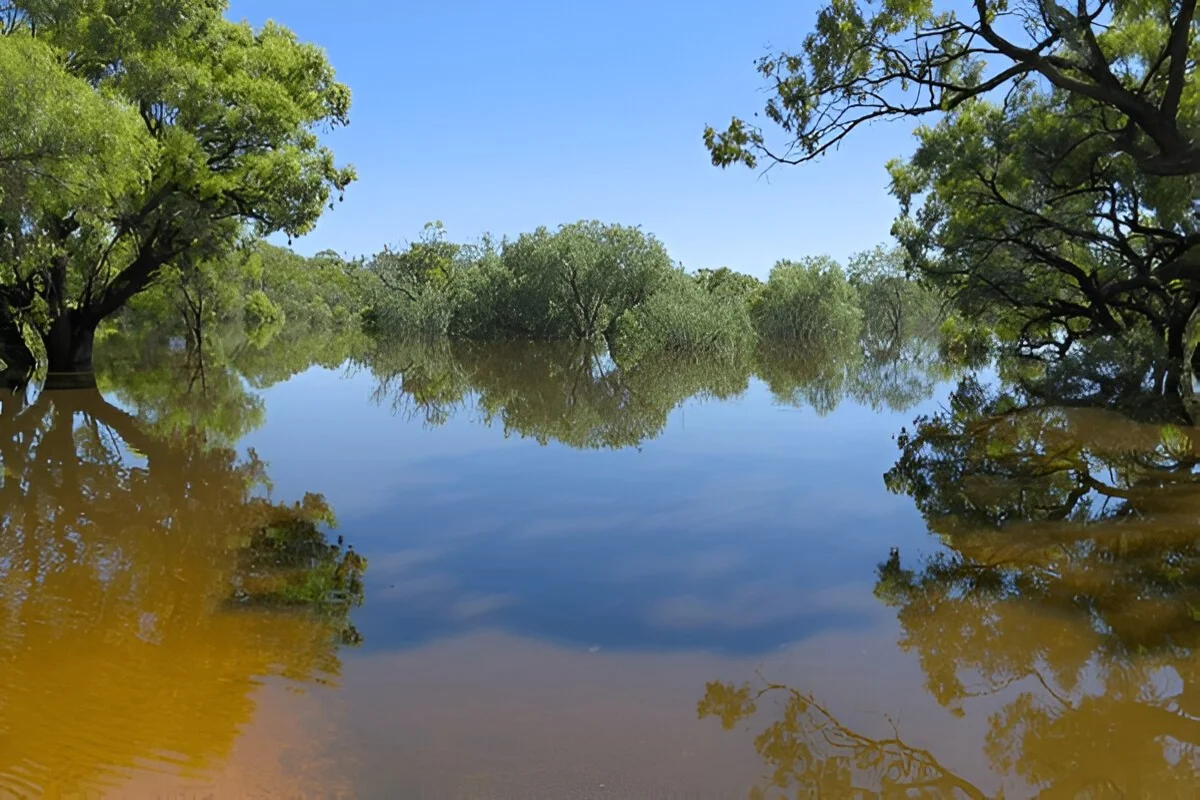 Loxton, Australia: Best Time to Visit & Travel Tips